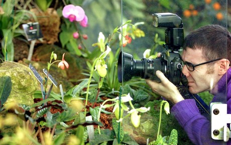 VARIOUS - Feb 2001 Stock Pictures, Editorial Images and Stock Photos ...