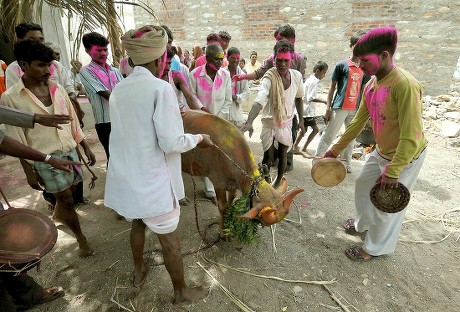 Picture Made Available On 07 July Editorial Stock Photo - Stock Image ...