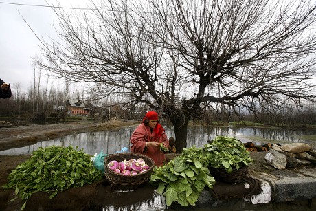 Kashmiri Muslim Women Sells Vegetable On Editorial Stock Photo - Stock ...