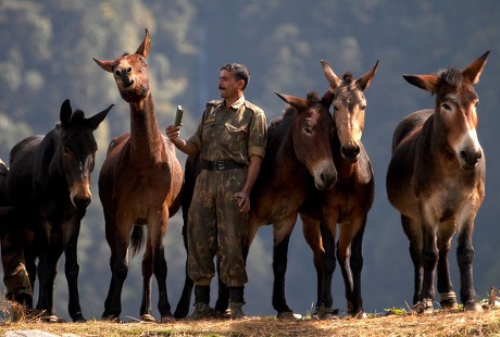 Indian Army Personnel Taking Care Their Editorial Stock Photo - Stock ...