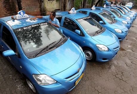 63 Blue bird car Stock Pictures, Editorial Images and Stock Photos ...