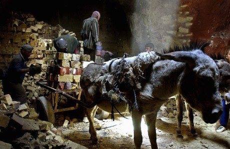 Iraqi Men Load Bricks Onto Donkey Editorial Stock Photo - Stock Image ...