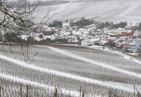 Vineyards Village Wellenstein 25 Km Luxembourg Editorial Stock Photo ...