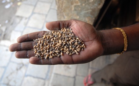 Indian Ration Shop Vendor Shows Quality Editorial Stock Photo - Stock ...
