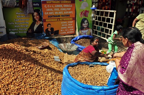 Visitors Buy Groundnuts Peanuts Groundnut Fair Editorial Stock Photo ...