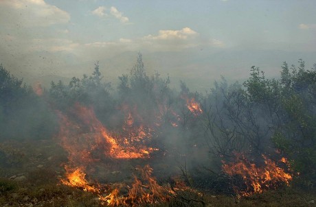 Pastrik Kosovo Yugoslavia Fire Rages Through Editorial Stock Photo ...