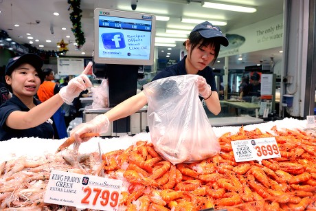 Scallops On Display Sydney Fish Market Editorial Stock Photo - Stock ...