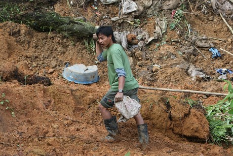 Filipino Carries Scrap Wood Amidst Debris Editorial Stock Photo - Stock ...