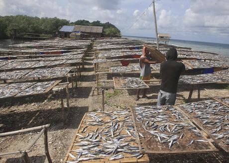 54 Lay out fish Stock Pictures, Editorial Images and Stock Photos ...