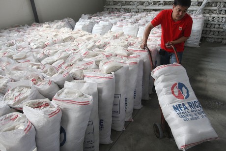Filipino Arranges Sacks Rice Transport Provinces Editorial Stock Photo ...