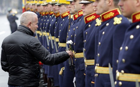 Romanian Veteran Puts Carnation Flower Into Editorial Stock Photo ...