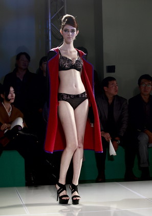 Model Displays Creation Designed By Shin Editorial Stock Photo - Stock Image | Shutterstock