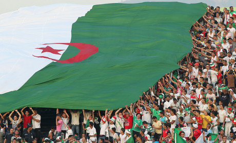 Algeria Soccer Team Supporters Display Algerian Editorial Stock Photo ...