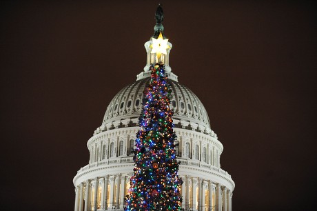 Us Capitol Christmas Tree Seen Lit Editorial Stock Photo - Stock Image ...