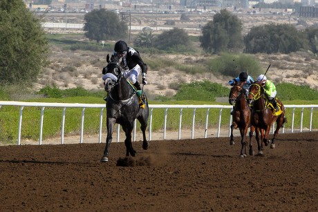 Horse Racing from Jebel Ali, United Arab Emirates - 23 Dec 2016 Stock ...
