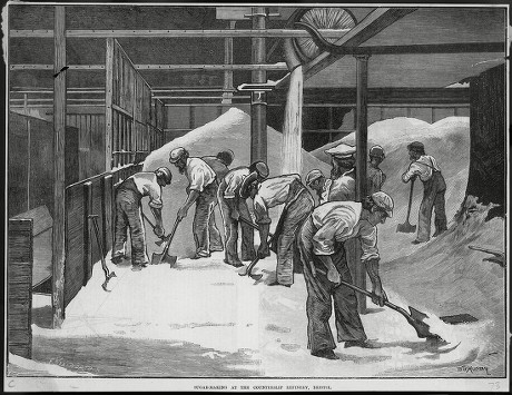 2 Counterslip Stock Pictures, Editorial Images and Stock Photos ...
