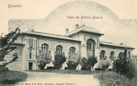 Romania Bucharest Botanical Gardens Circa 1905 Editorial Stock Photo ...