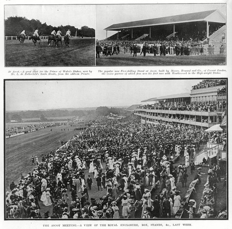 View Royal Enclosure Box Stands Ascot Editorial Stock Photo - Stock ...