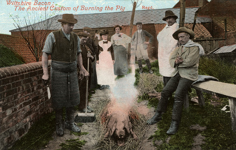 Wiltshire Bacon Ancient Custom Burning Pig Editorial Stock Photo ...