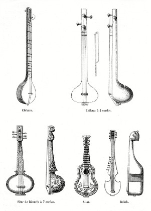 Indian Stringed Musical Instruments Frontal Profile Editorial Stock ...