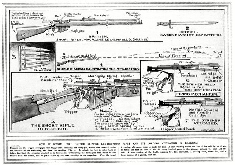 15 Enfield rifles Stock Pictures, Editorial Images and Stock Photos ...