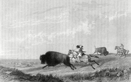Native Americans On Horseback Pursue Buffalo Editorial Stock Photo ...