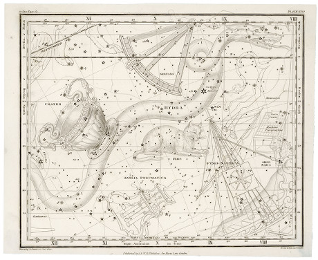 Including Orion Lepus 1822 Editorial Stock Photo - Stock Image ...