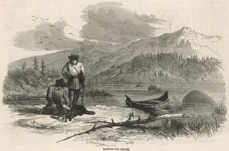 Trapping Beaver 1858 Editorial Stock Photo - Stock Image | Shutterstock