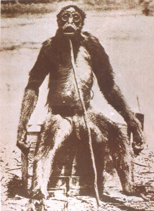 Ape Like Creature That Shot Killed Editorial Stock Photo - Stock Image ...