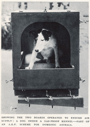 38 Wwii ww2 animals Stock Pictures, Editorial Images and Stock Photos ...