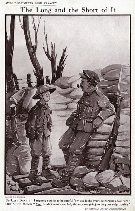 3 Battle hardened veterans Stock Pictures, Editorial Images and Stock ...