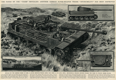 22 German tiger tanks Stock Pictures, Editorial Images and Stock Photos ...