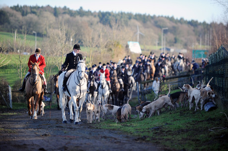 __COUNT__ Fox hunt in Irish countryside, ---, Ireland - 26 Dec 2016 ...