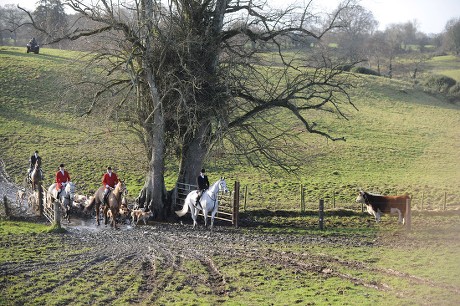 Members Meath Hunt On Horseback During Editorial Stock Photo - Stock ...