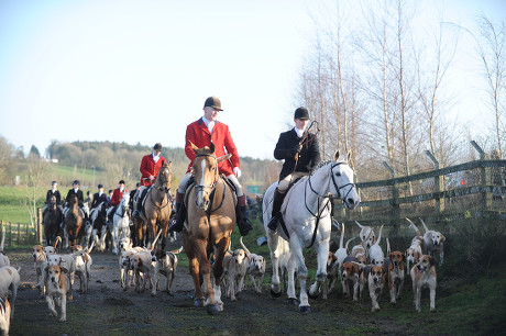 Members Meath Hunt On Horseback During Editorial Stock Photo - Stock ...