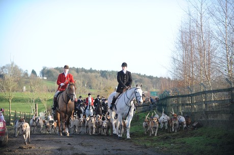 Members Meath Hunt On Horseback During Editorial Stock Photo - Stock ...