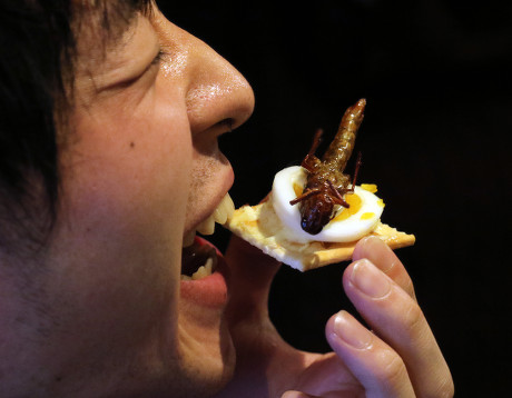 Man Eats Canape Locust Christmas Party Editorial Stock Photo - Stock ...