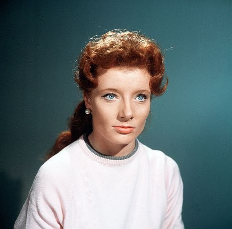Baron Portrait Louisa Jo Rowbottom Editorial Stock Photo - Stock Image ...