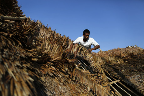 Filipino Typhoon Victim Repairs Damaged Roof Editorial Stock Photo ...
