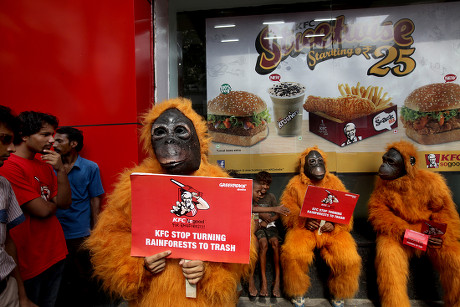76 India deforestation Stock Pictures, Editorial Images and Stock ...