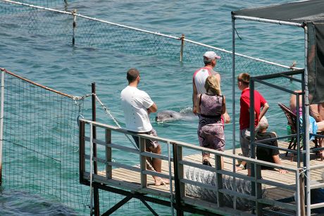 22 Dolphin enclosure Stock Pictures, Editorial Images and Stock Photos ...