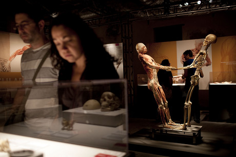 People Look Display Traveling Exhibtion Body Editorial Stock Photo ...
