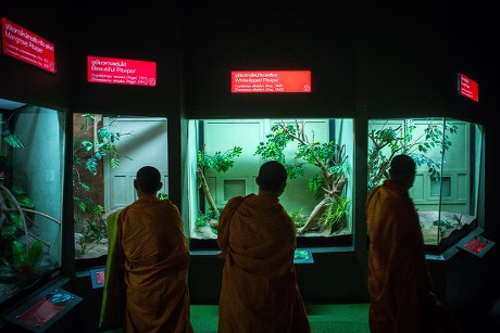 Thai Buddhist Monks Visit Queen Saovabha Editorial Stock Photo - Stock ...