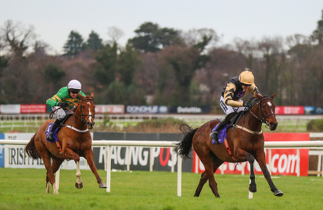 Guinness Maiden Hurdle Barry Geraghty On Editorial Stock Photo - Stock ...