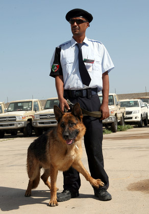 Libyan Security Guard His German Shepherd Editorial Stock Photo - Stock ...