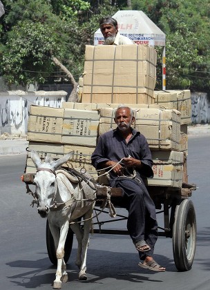Man Drives Donkey Cart Karachi Pakistan Editorial Stock Photo - Stock ...