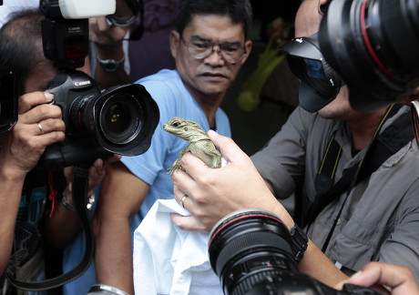 Filipino Worker Protected Areas Wildlife Bureau Editorial Stock Photo ...