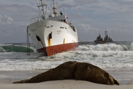 250 Japanese trawler Stock Pictures, Editorial Images and Stock Photos ...