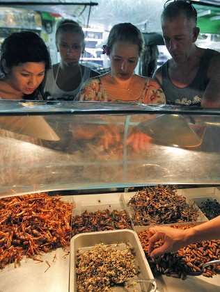 Thailand Economy Insect Markets - Jul 2012 Stock Pictures, Editorial Images and Stock Photos ...