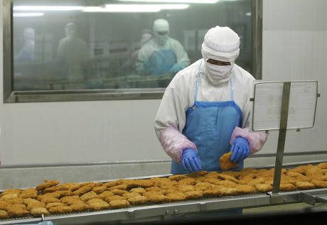 Thai Factory Worker Process Cooked Chicken Editorial Stock Photo ...